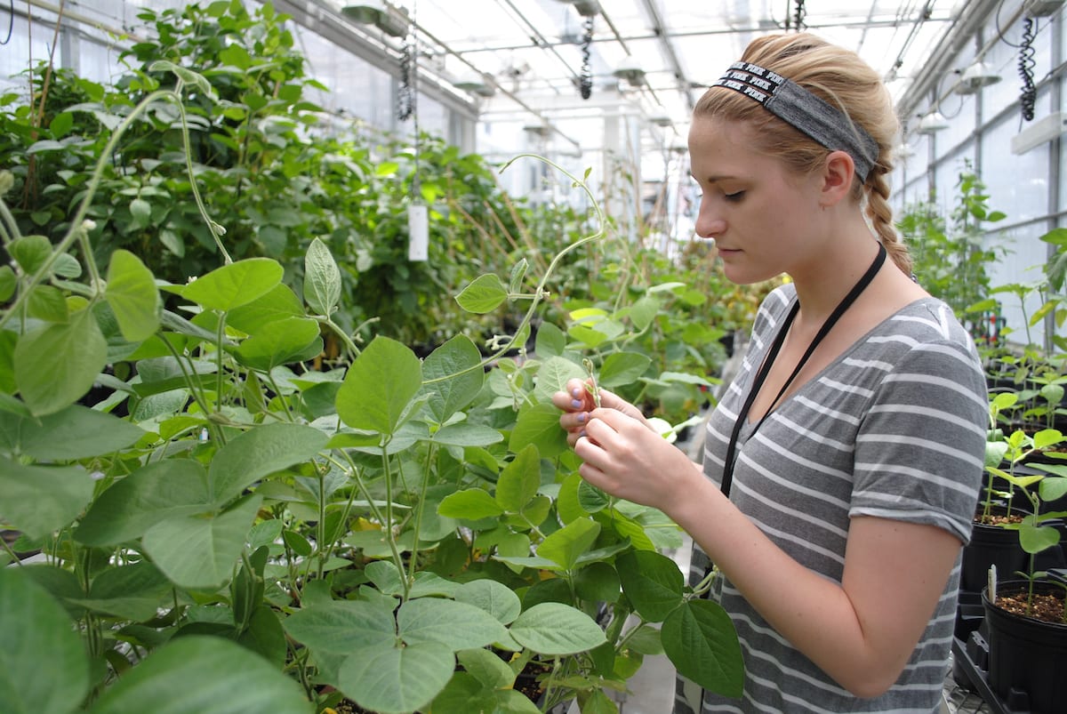 TRAINING THE NEXT GENERATION OF SCIENTISTS - Danforth Plant Science Center
