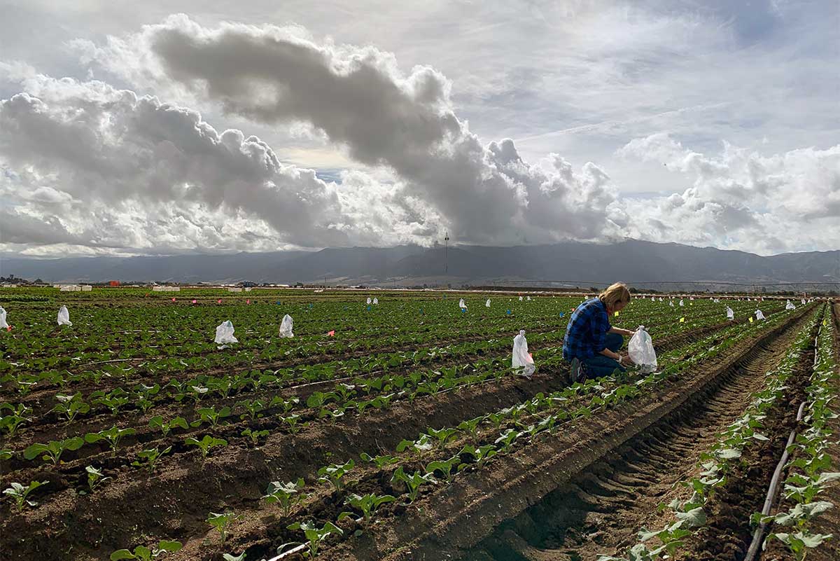 Tech Accel - Tech Accel Website